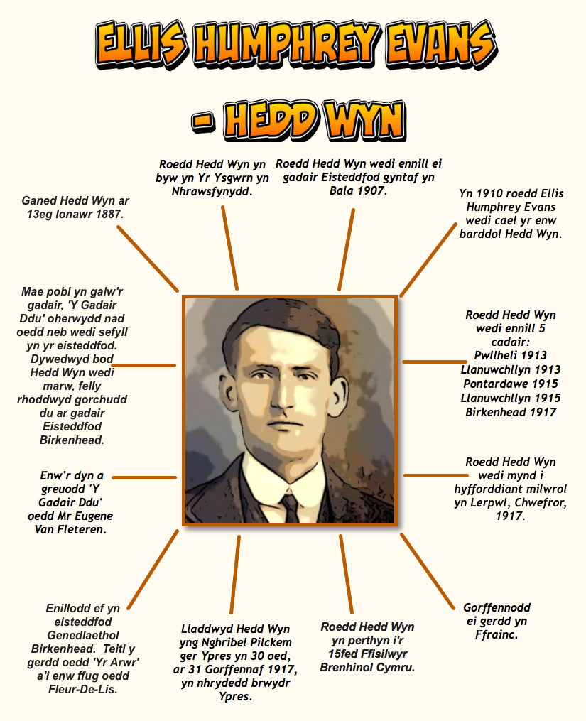 Hedd Wyn - Ffeil Ffeithiau