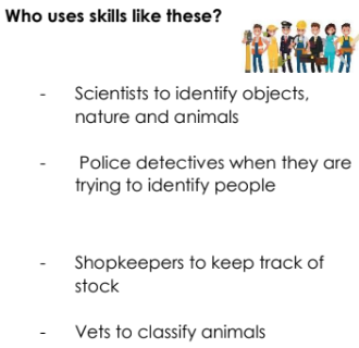 3Y branching databases assessment working wall template