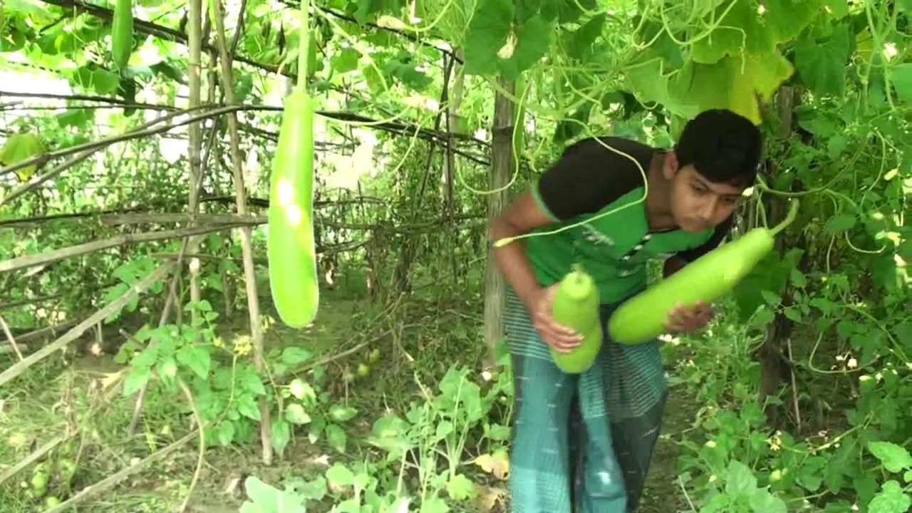 Miss Begum Bangladesh