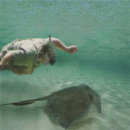 Steve Irwin finished