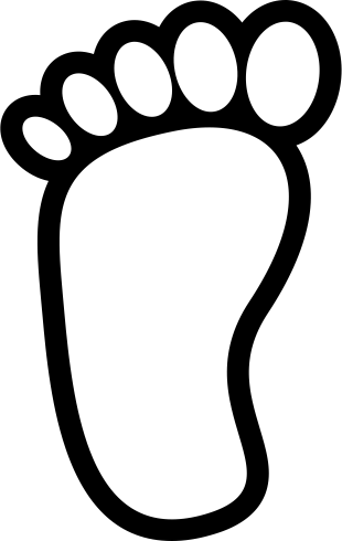 digital footprint activit Martina Pulo