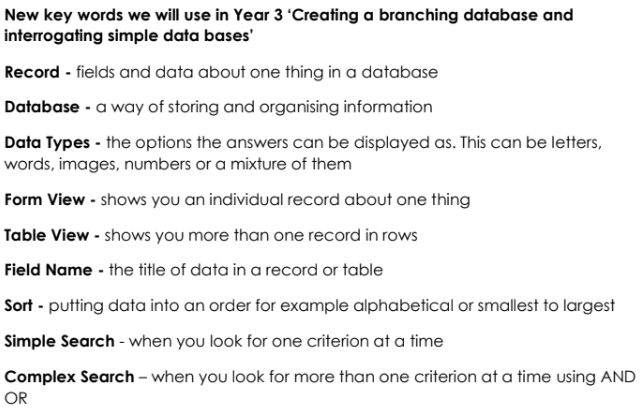 3Y branching databases assessment working wall template