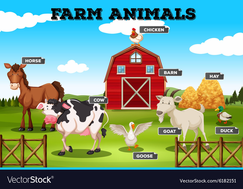 Farm animals