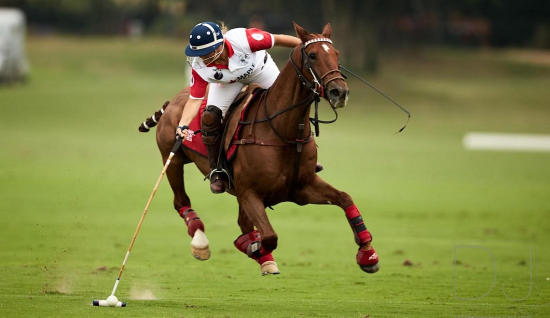 Facts about Sunny Hale by Carla by Carla