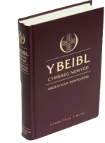 Cyfeithiadau or Beibl