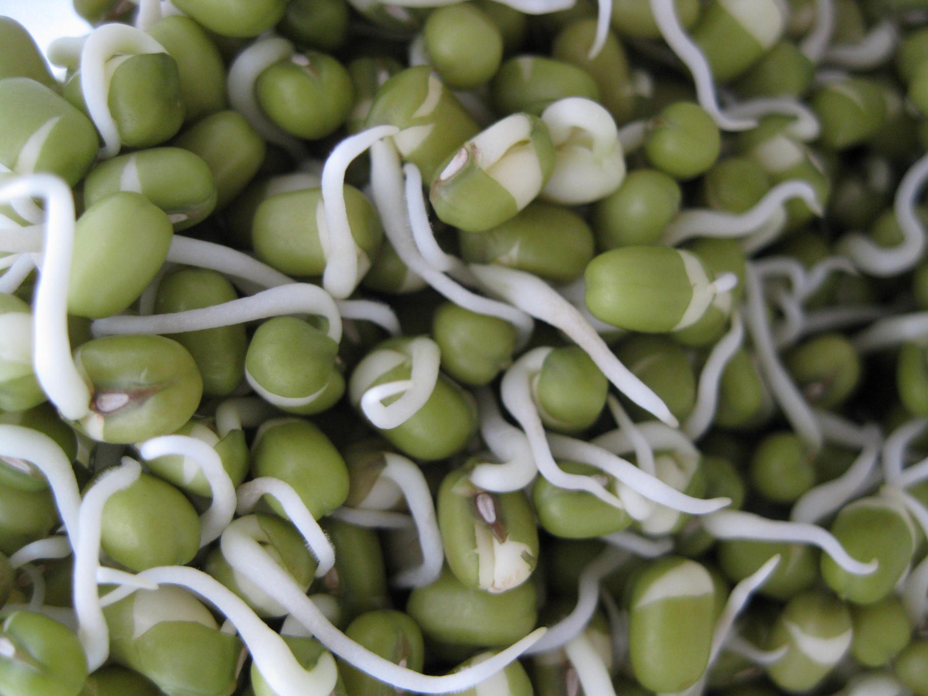Mung beans