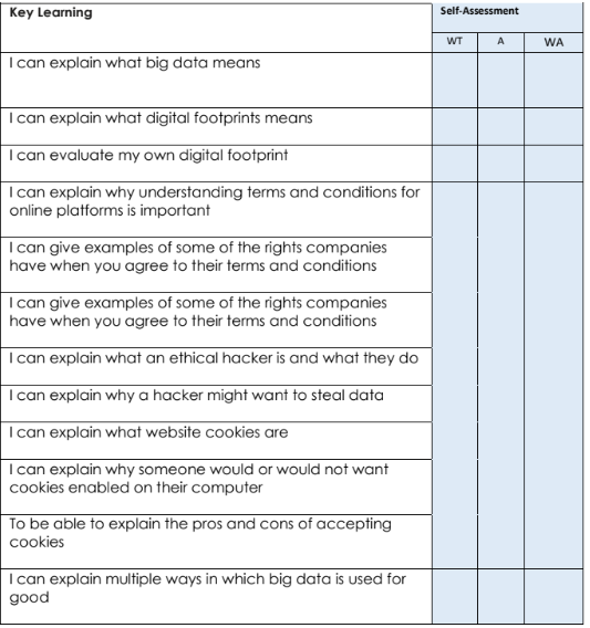 Y6 understanding big data assessment