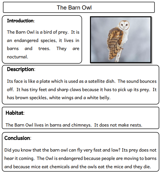 writing a non chronological report exemplars